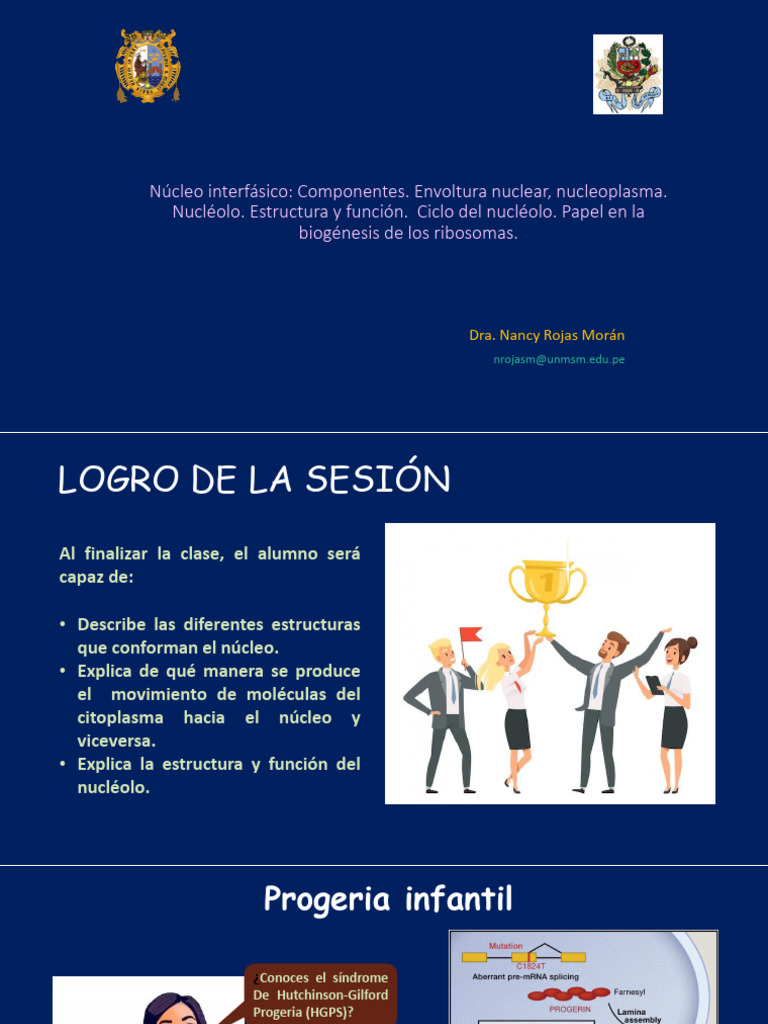 CLASE 07 Núcleo-Nucleolo | PDF | Nucleo celular | La expresion genica