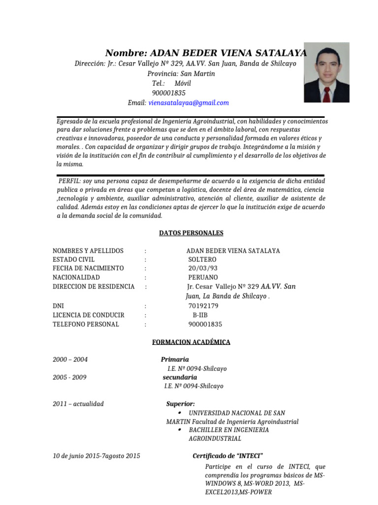 Perfil Profesional de Adan Beder Viena | PDF