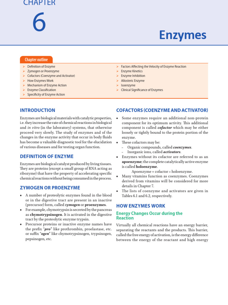 Enzymes Notes | PDF | Enzyme | Cofactor (Biochemistry)