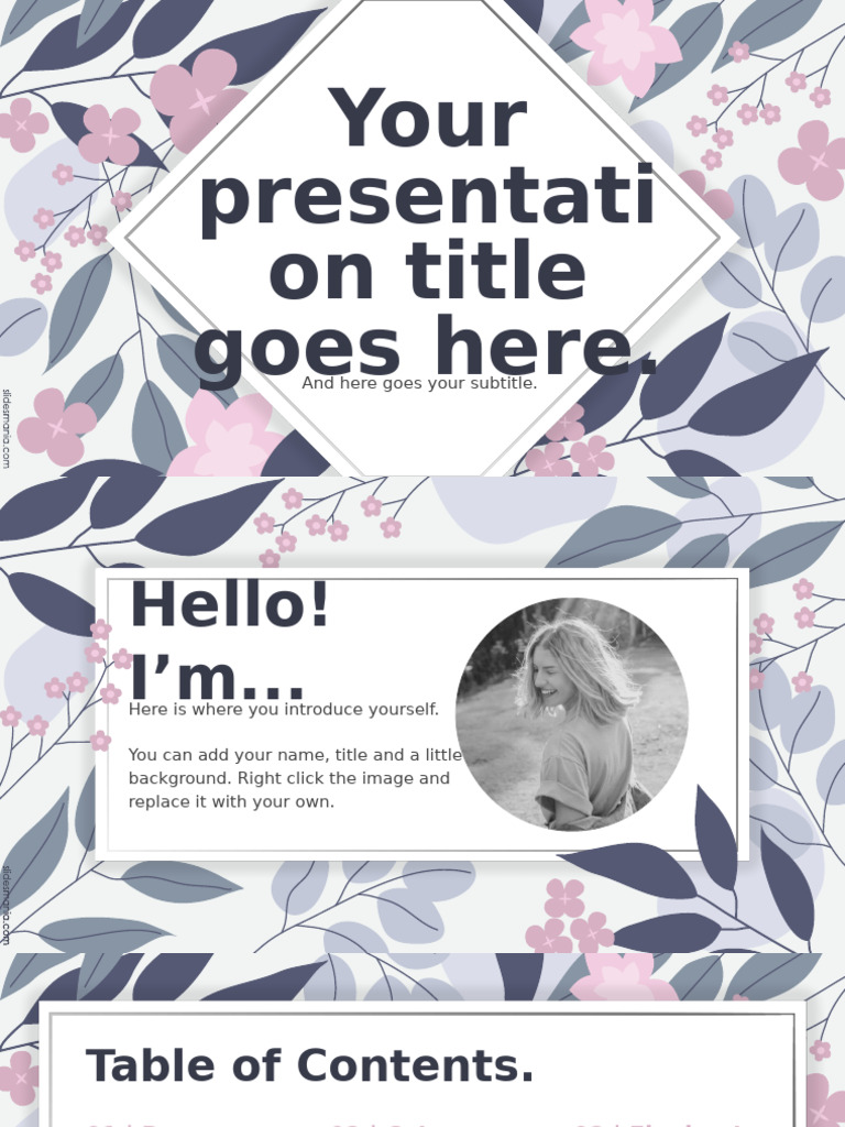 Fun Animal Facts Presentation Guide | PDF