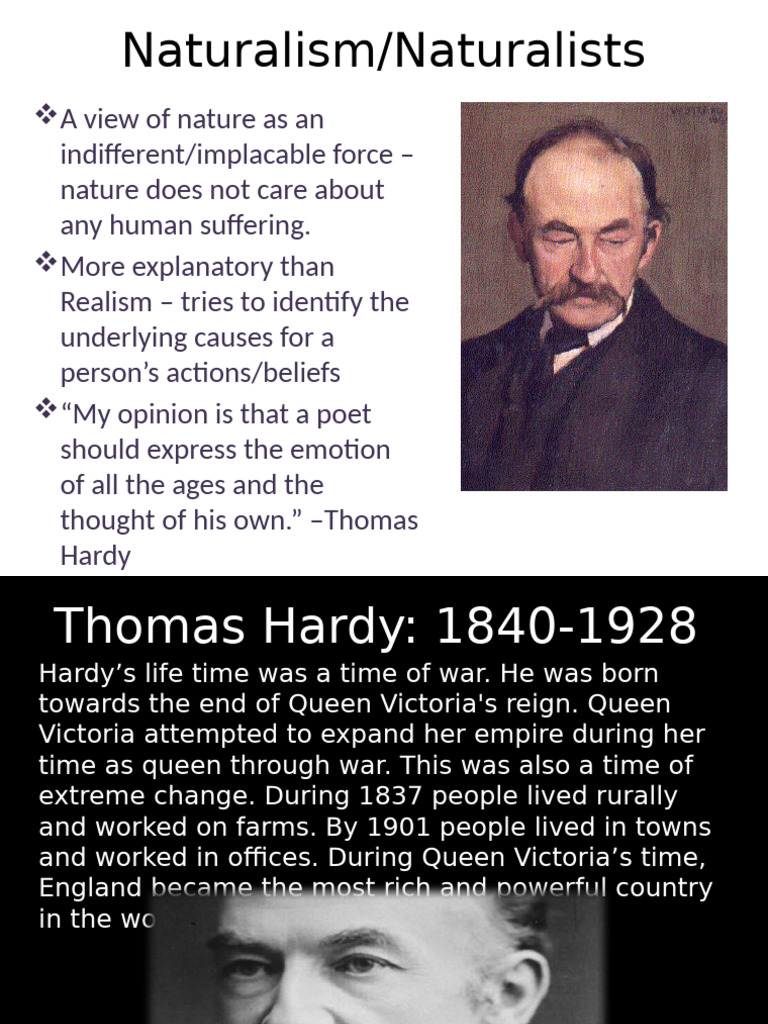 Understanding Naturalism in Hardy's Works | PDF | Realism (Arts ...
