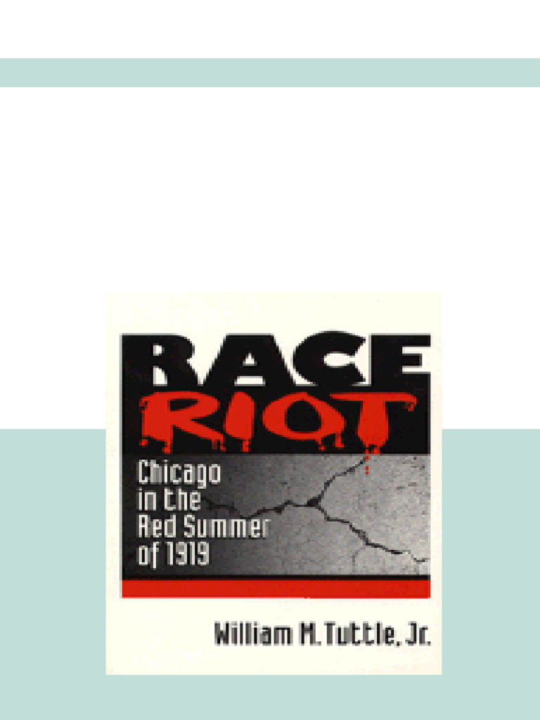 Race Riot Chicago in The Red Summer of 1919 | PDF | Experience | David Hume