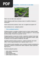 Prirucnik Za Cvece PDF | PDF