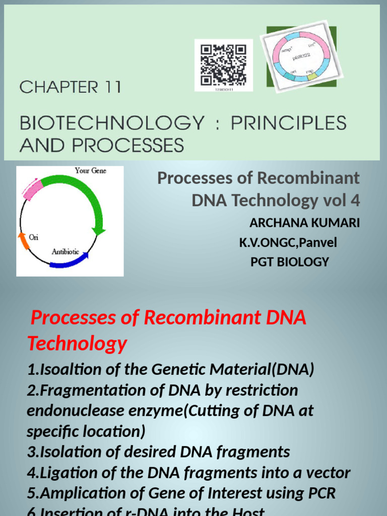 Recombinant DNA Technology Processes | PDF | Polymerase Chain Reaction ...