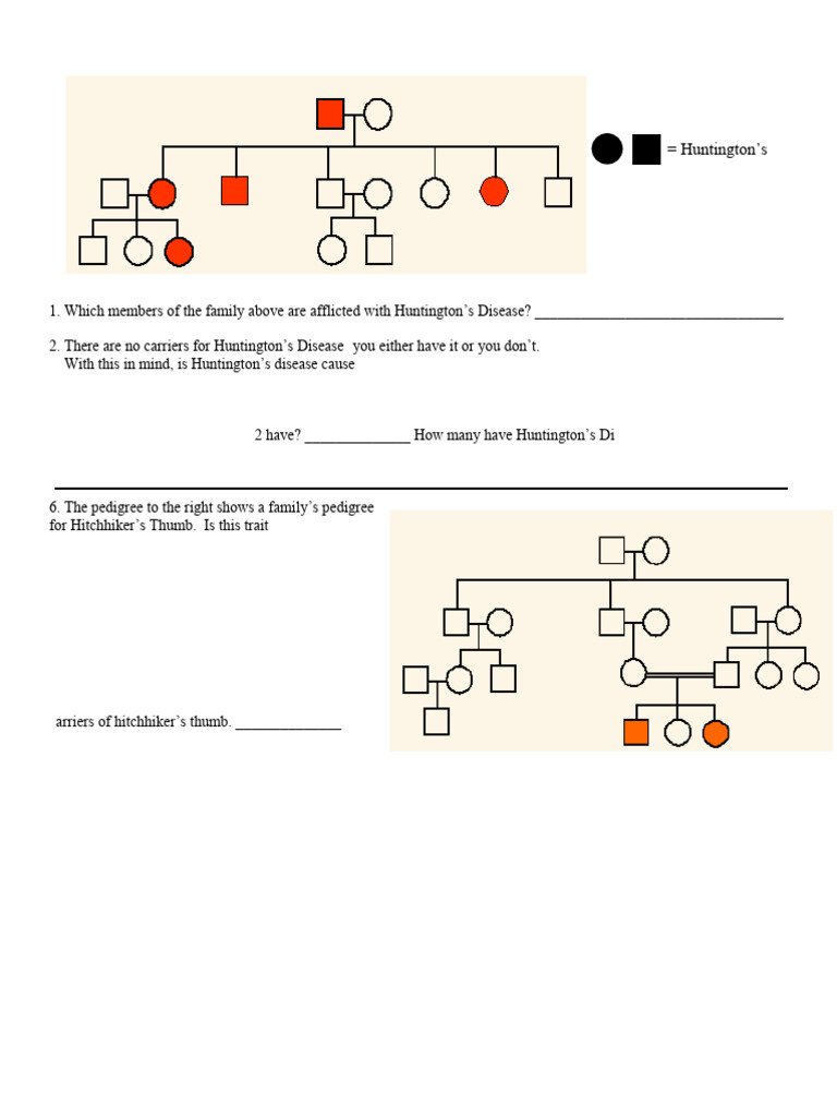 Pedigree Worksheet | PDF | Genotype | Dominance (Genetics)