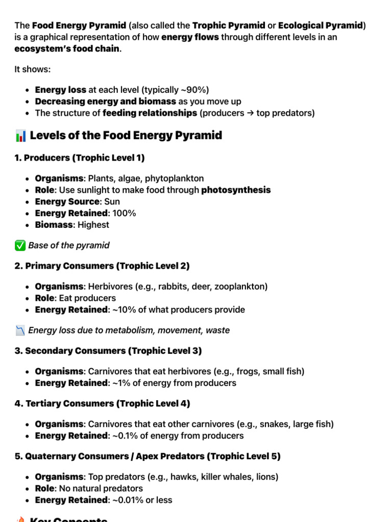 Food Energy Pyramid | PDF