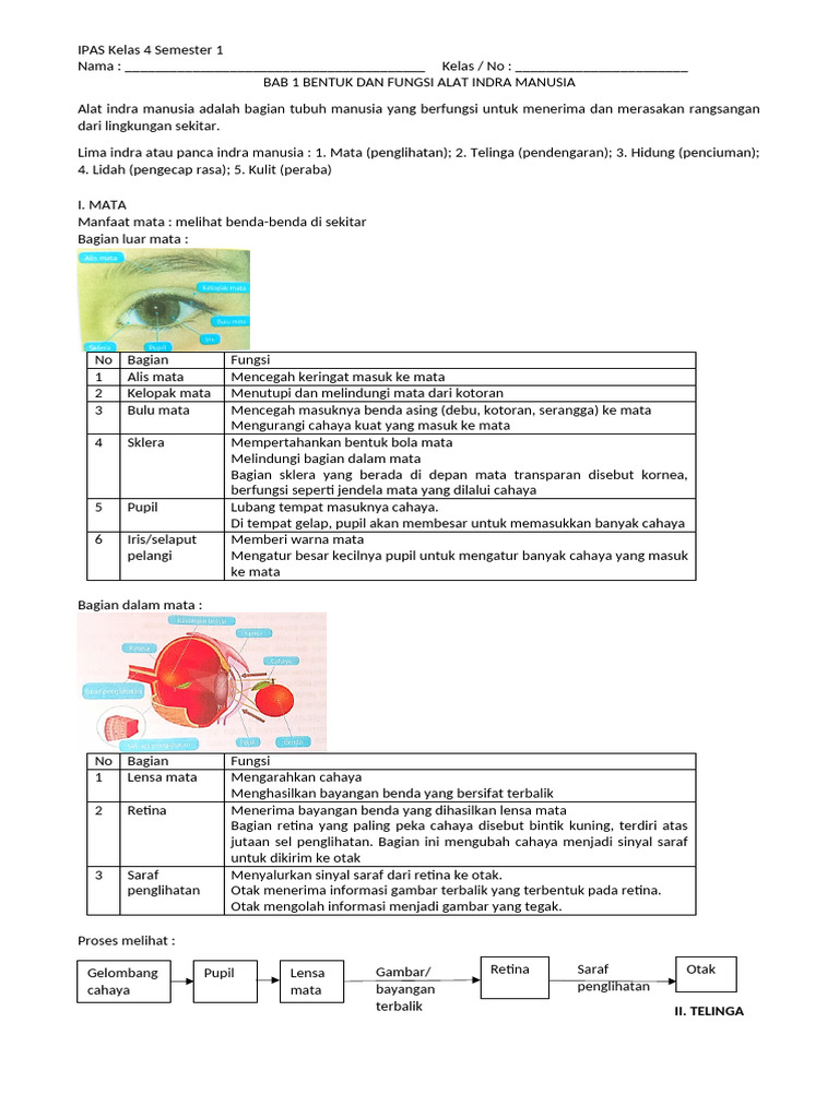 Alat Indra Manusia untuk Kelas 4 | PDF