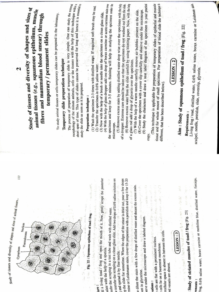 Zoology Practical Book!! | PDF