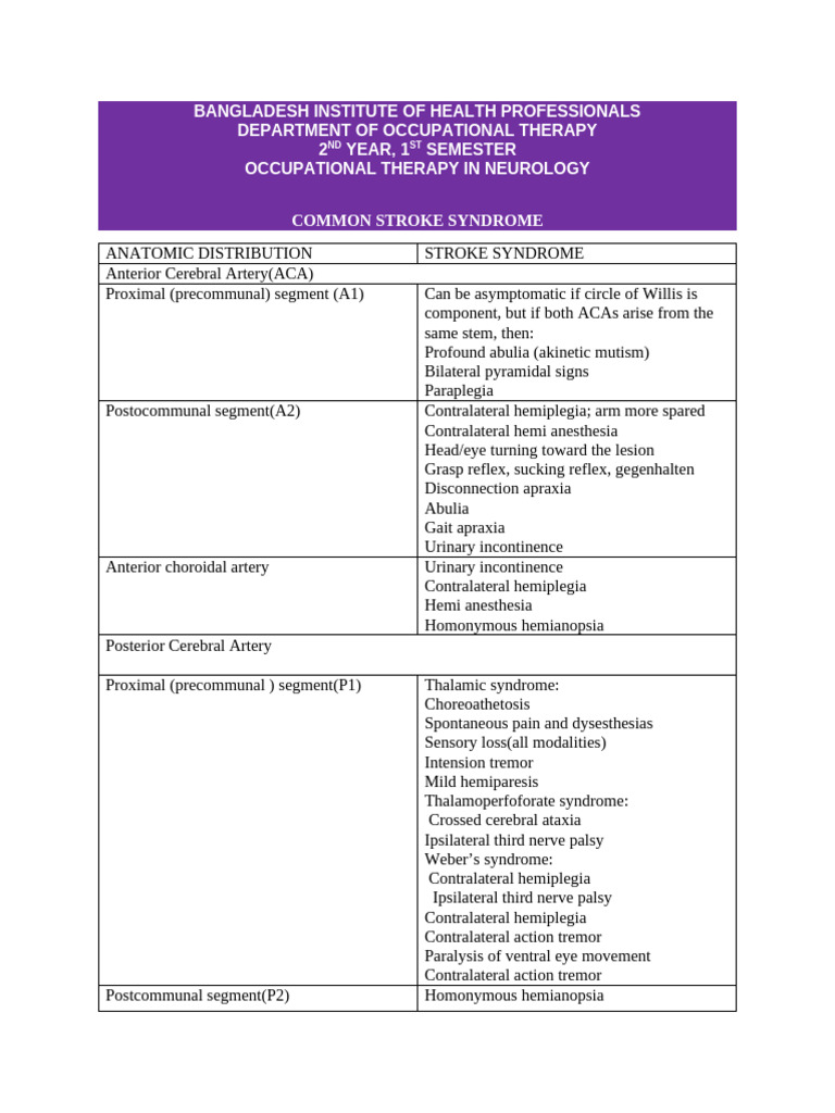 Common Stroke Syndromes Overview | PDF | Anatomical Terms Of Location ...