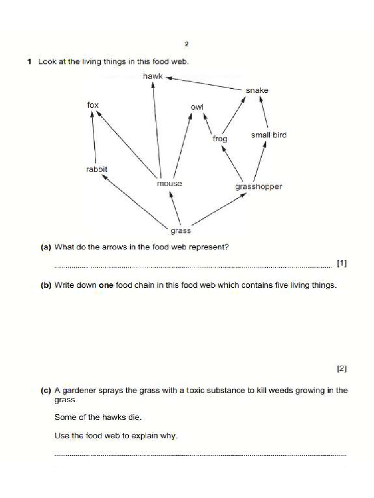 Check Point Final | PDF