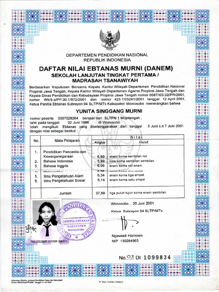 Danem SMP | PDF