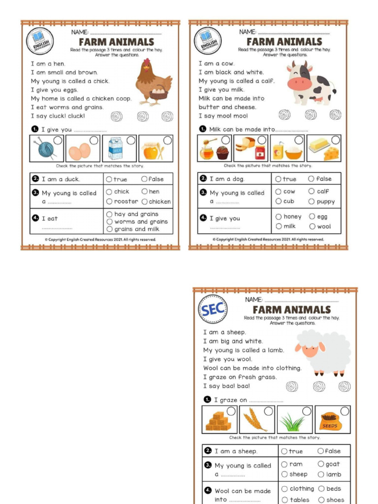 What Do Animals Give Us | PDF
