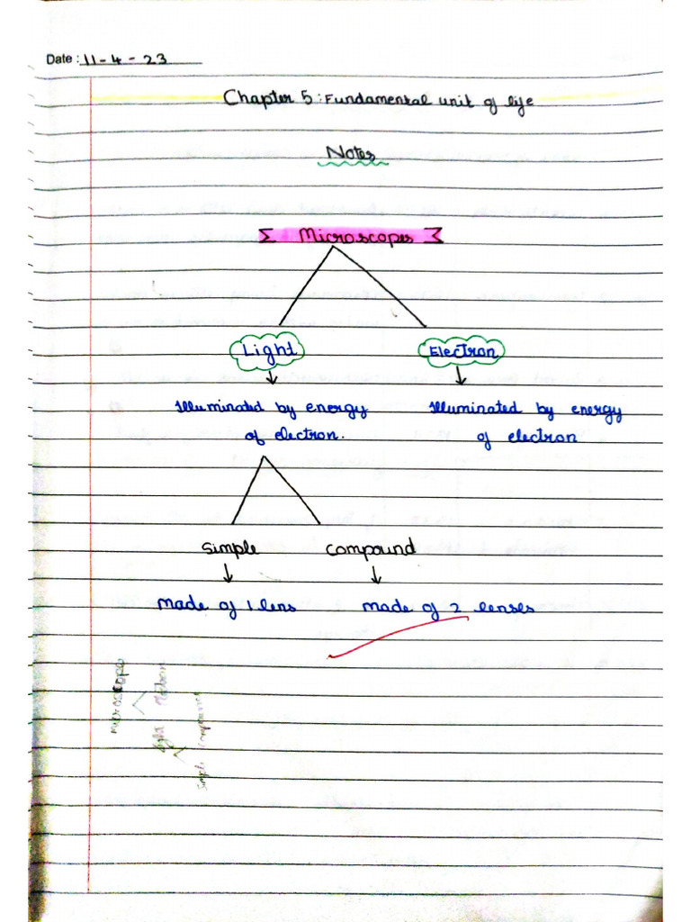 Grade 9 Bio Chap 1 | PDF