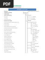 Organigrama Grupo Lala | PDF