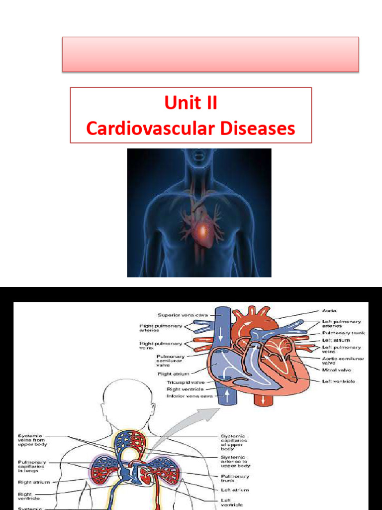 Unit II Pathophysiology of CVS Diseases 03-07 | PDF | Heart | Vein