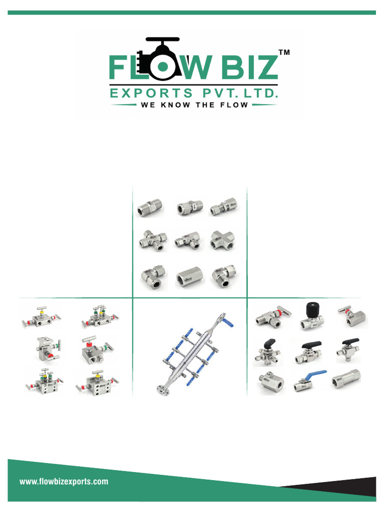 FlowBiz Exports Pvt. LTD | PDF