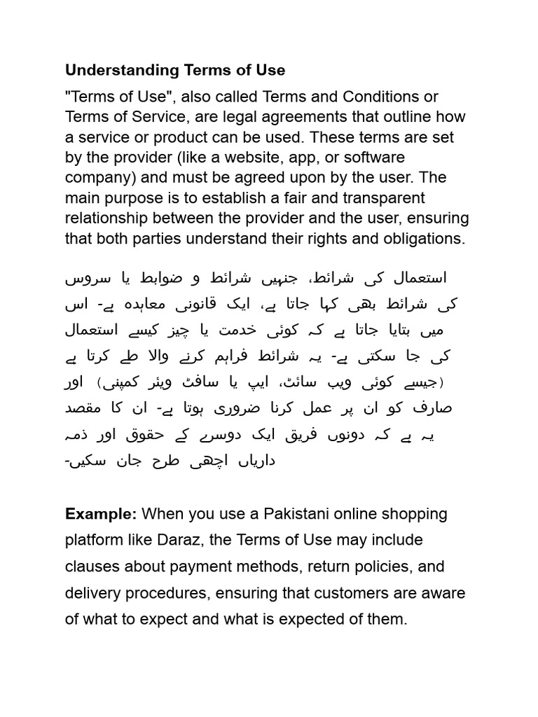 Computer Lesson Urdu | PDF