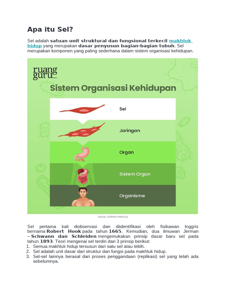 Apa Itu Sel | PDF