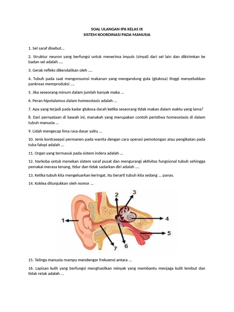 Soal Ulangan Ipa Sistem Koordinasi Pada Manusia Kelas Ix | PDF