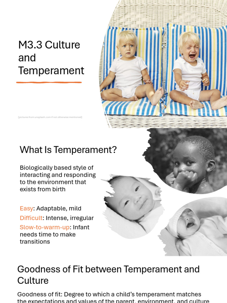 Understanding Temperament and Culture | PDF | Attachment Theory ...