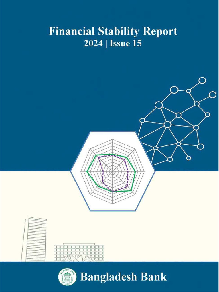 Financial Stability Report 2024 | PDF | Banks | Capital Requirement