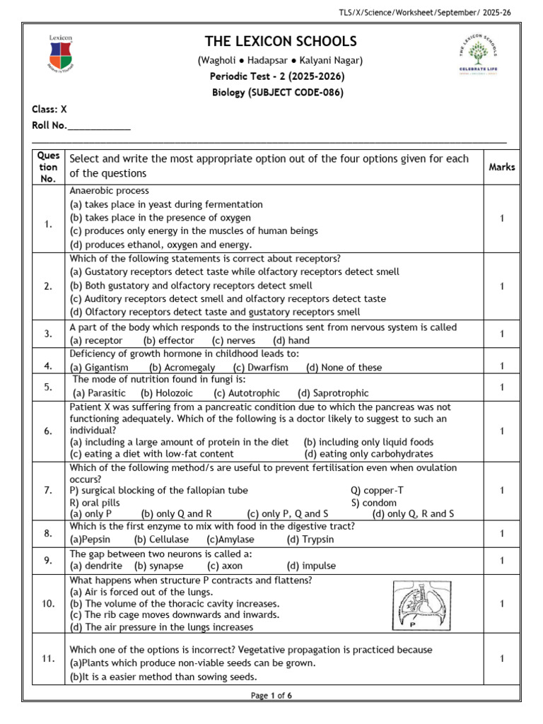 Biology Worksheet for Class X - 2025-26 | PDF | Hormone | Urinary System