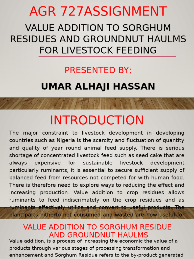 Agr 727 Assignment Umar Alhaji Hassan | PDF | Animal Feed | Peanuts