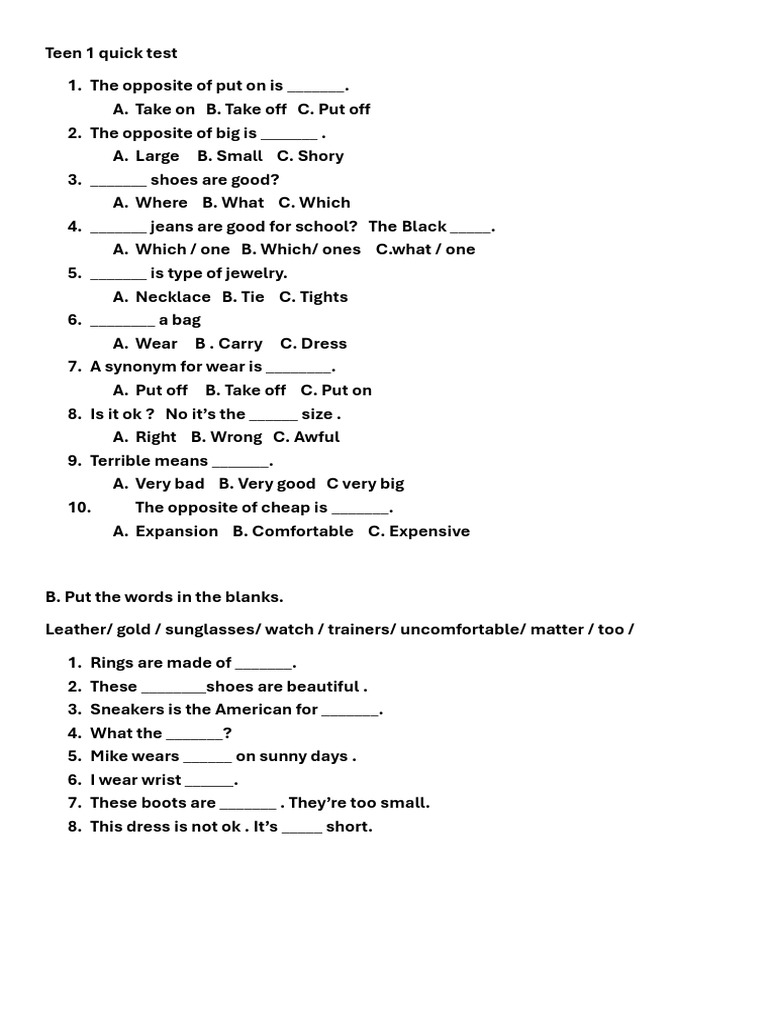 Teen Vocabulary Test Questions | PDF