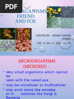 Notes of CH 2 Microorganisms - Friend and Foe - Class 8th Science | PDF ...