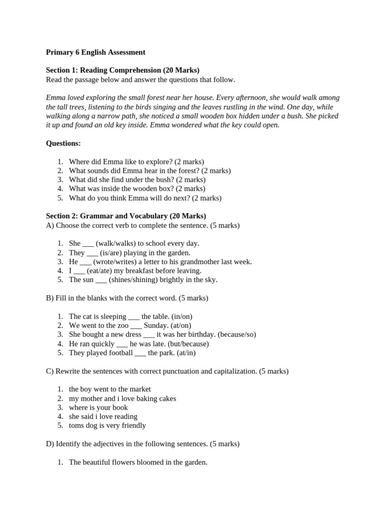 Primary 6 English Assessment | PDF