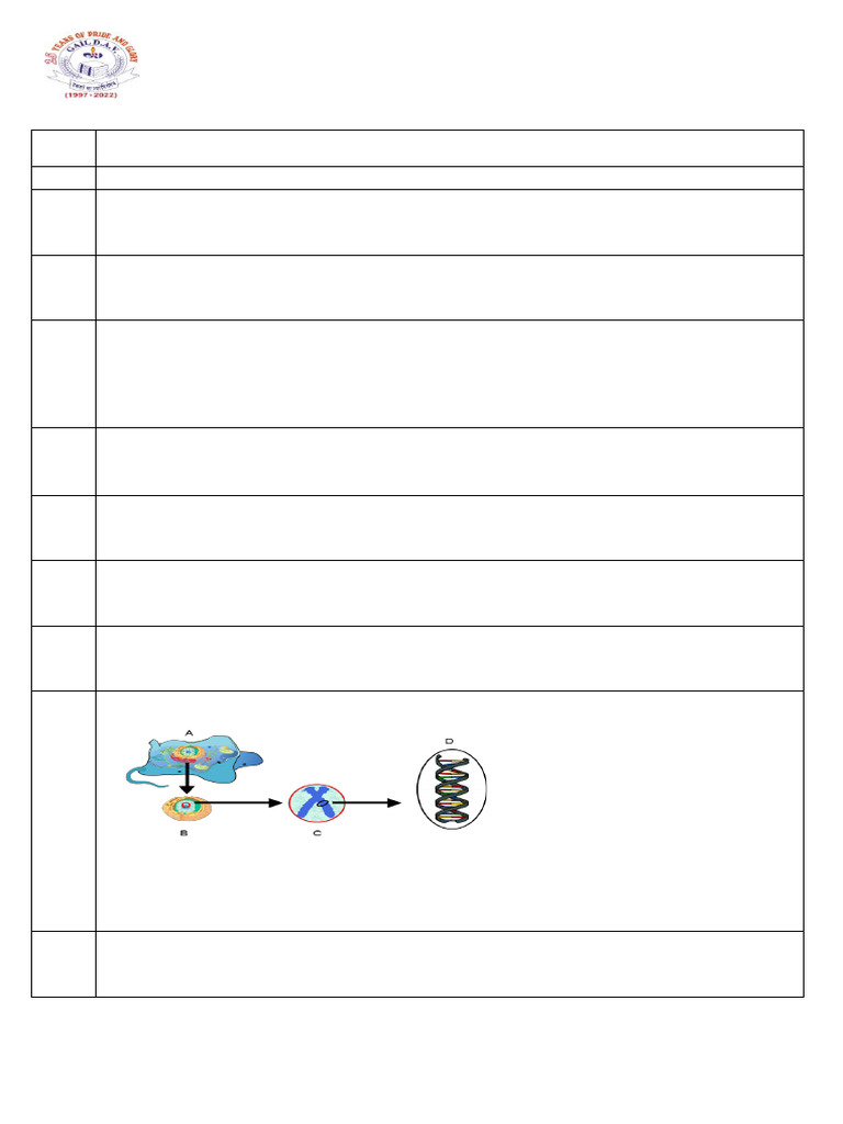 8 Cell Structure and Functio Worksheet 1 | PDF | Cell (Biology) | Cell ...
