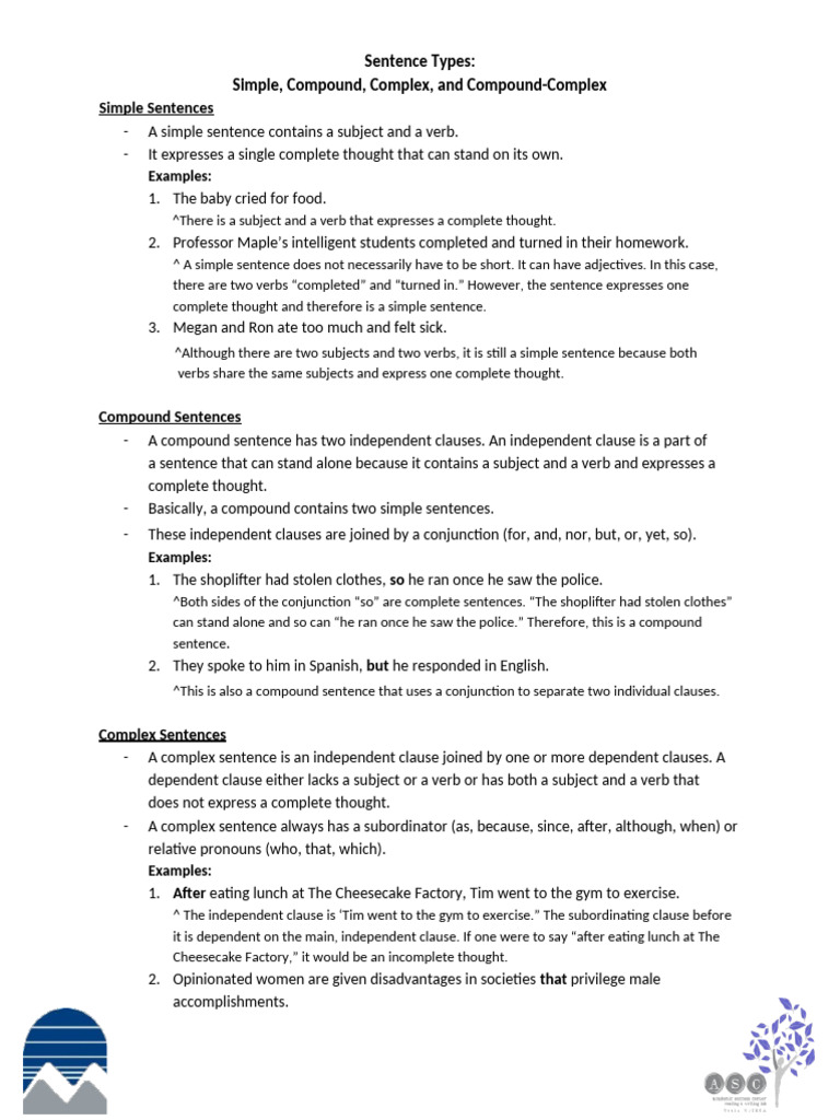 Sentence Types and Conversions Guide | PDF | Grammatical Number ...