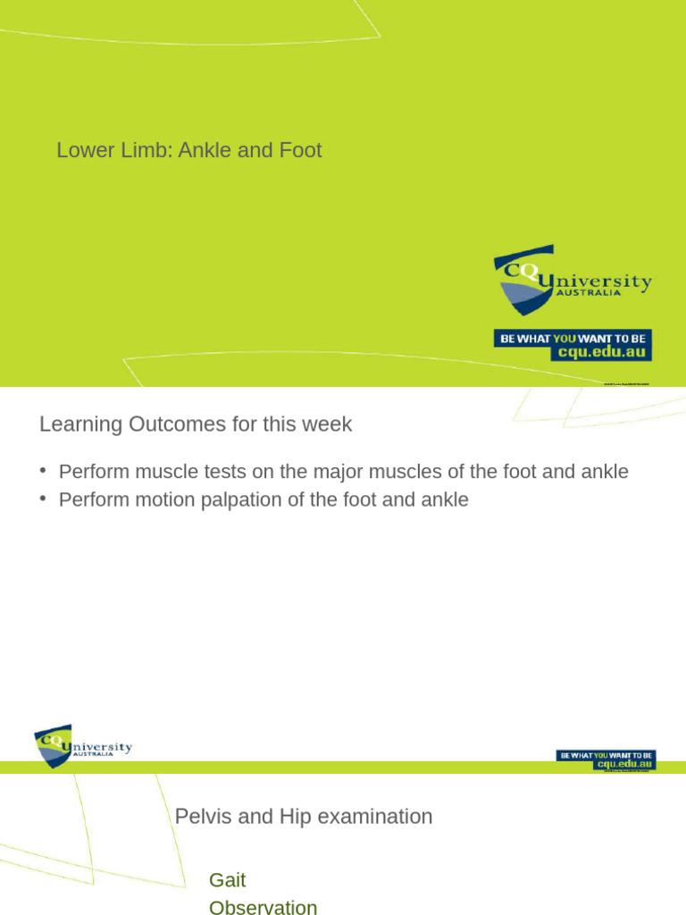 CHIR11003 Practical Foot and Ankle Motion Palpation and Muscle Testing ...