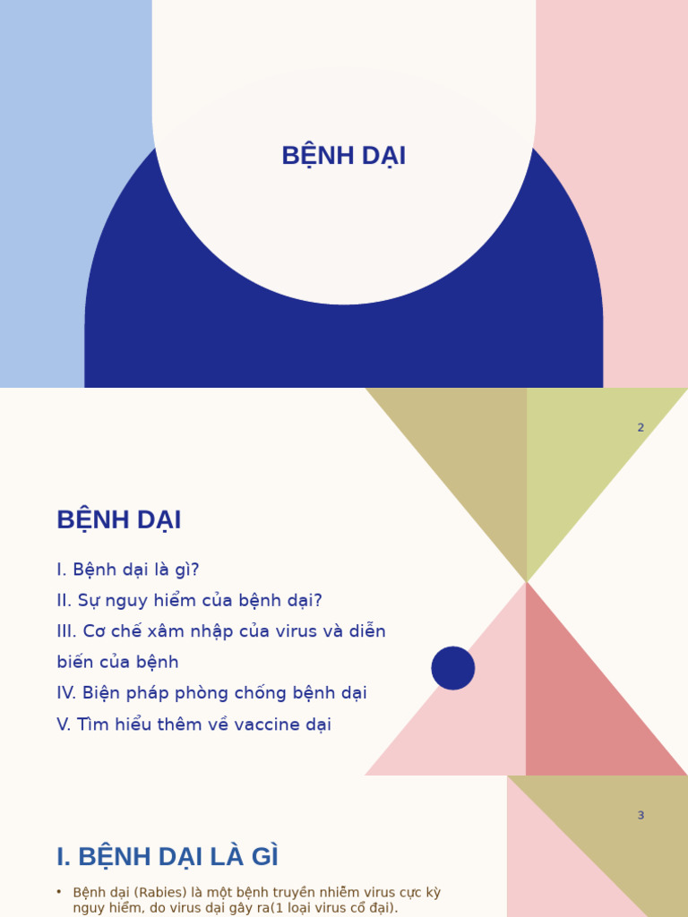 BệnhDại 10a1 baanh | PDF