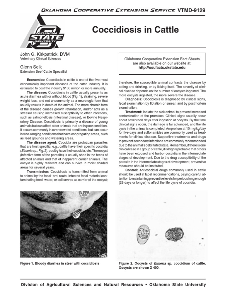 Coccidiosis in Cattle VTMD 9129 | PDF | Microbiology | Diseases And ...