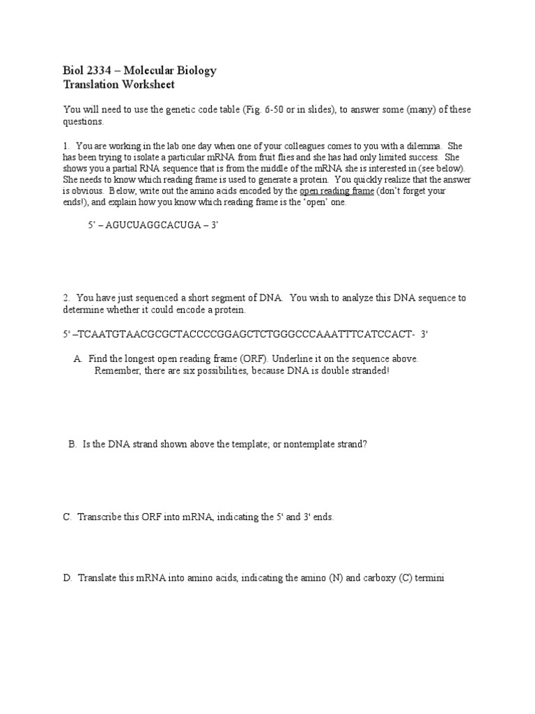 Biol 2334 - Molecular Biology Translation Worksheet | PDF | Translation (Biology) | Mutation