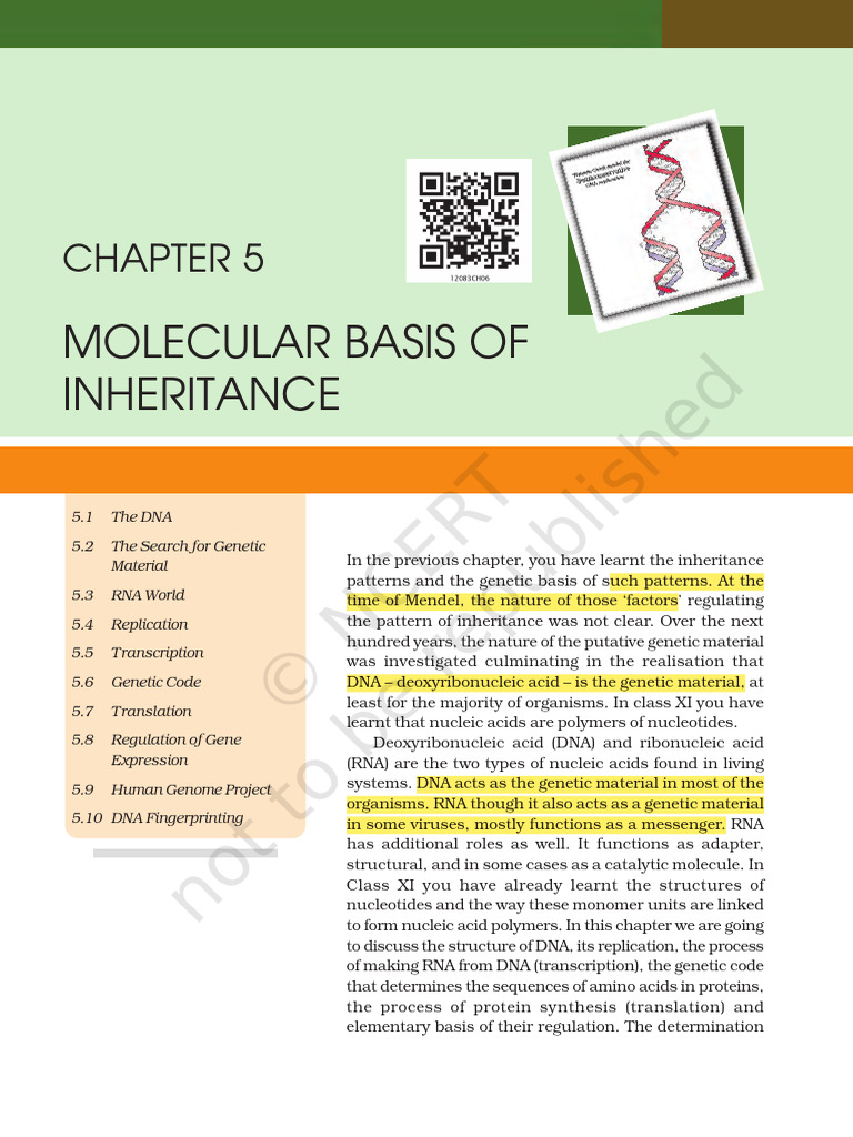 Mol Bio Class 12 Ncert PDF With Important Points | PDF | Dna | Rna