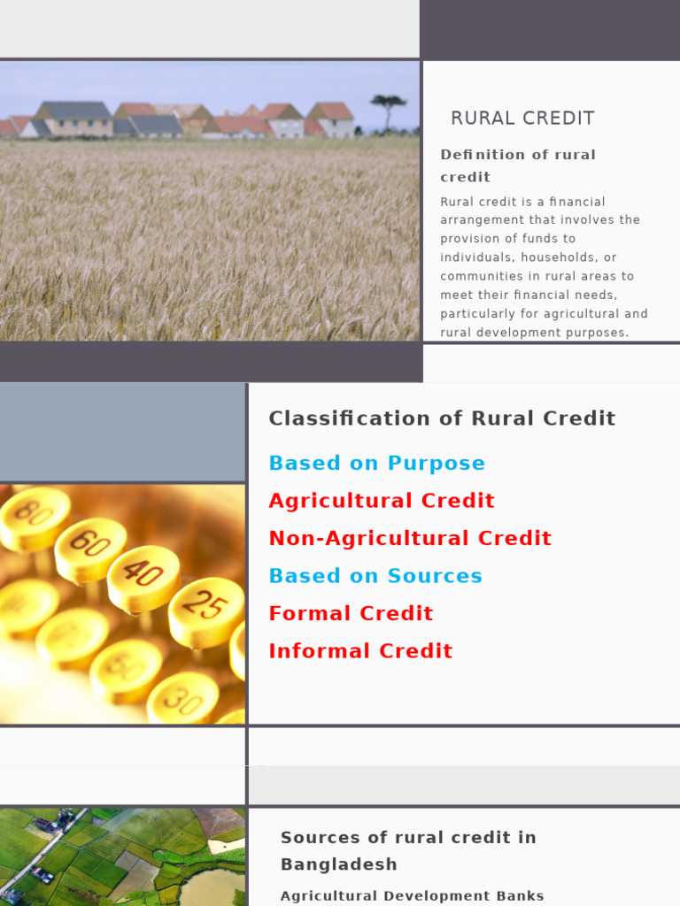 Impact of Rural Credit on Welfare in Bangladesh | PDF