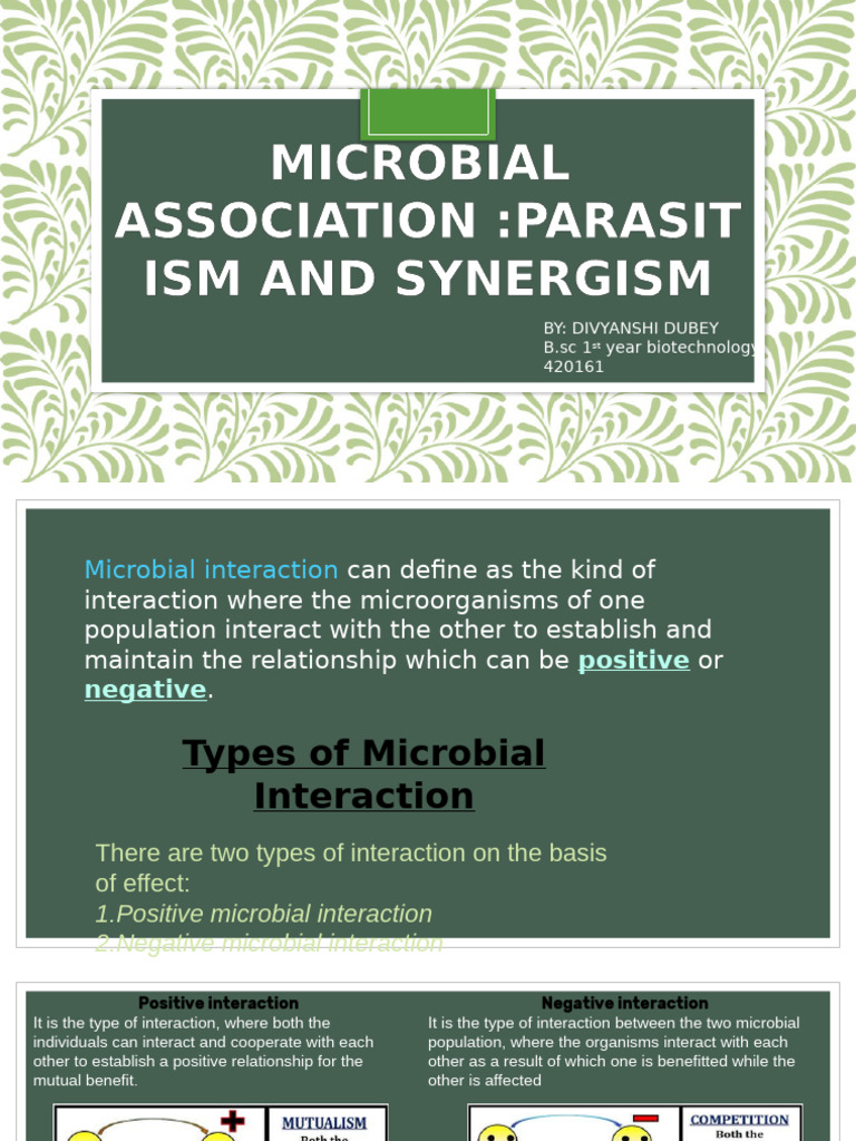 Microbial Interactions: Parasitism & Synergism | PDF | Parasitism ...