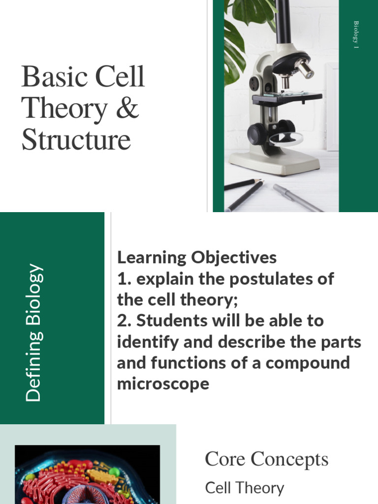 Basic Cell Theory and Structure Biology Education Presentation | PDF
