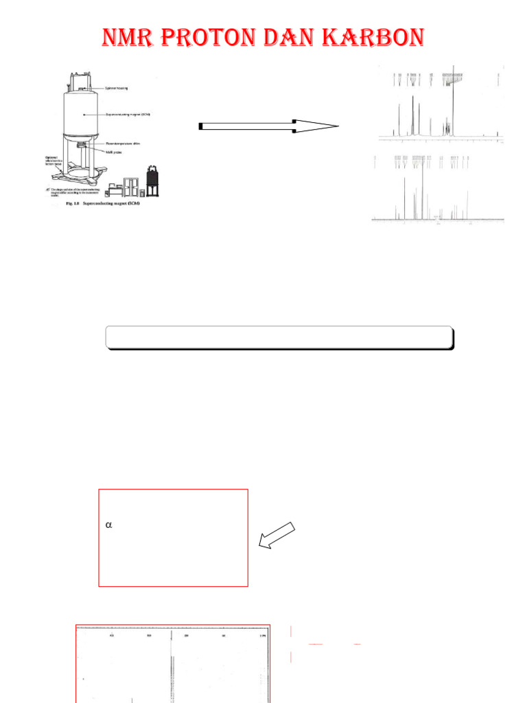 NMR Proton 2024 | PDF