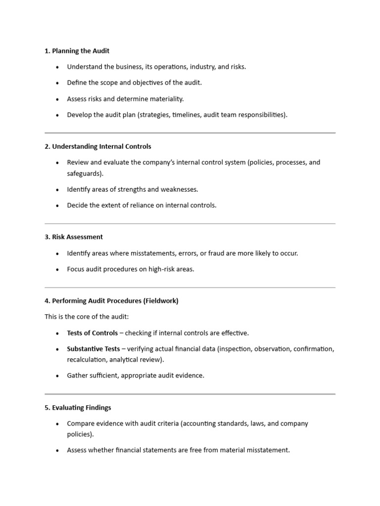 Basic Audit Procedures Overview | PDF