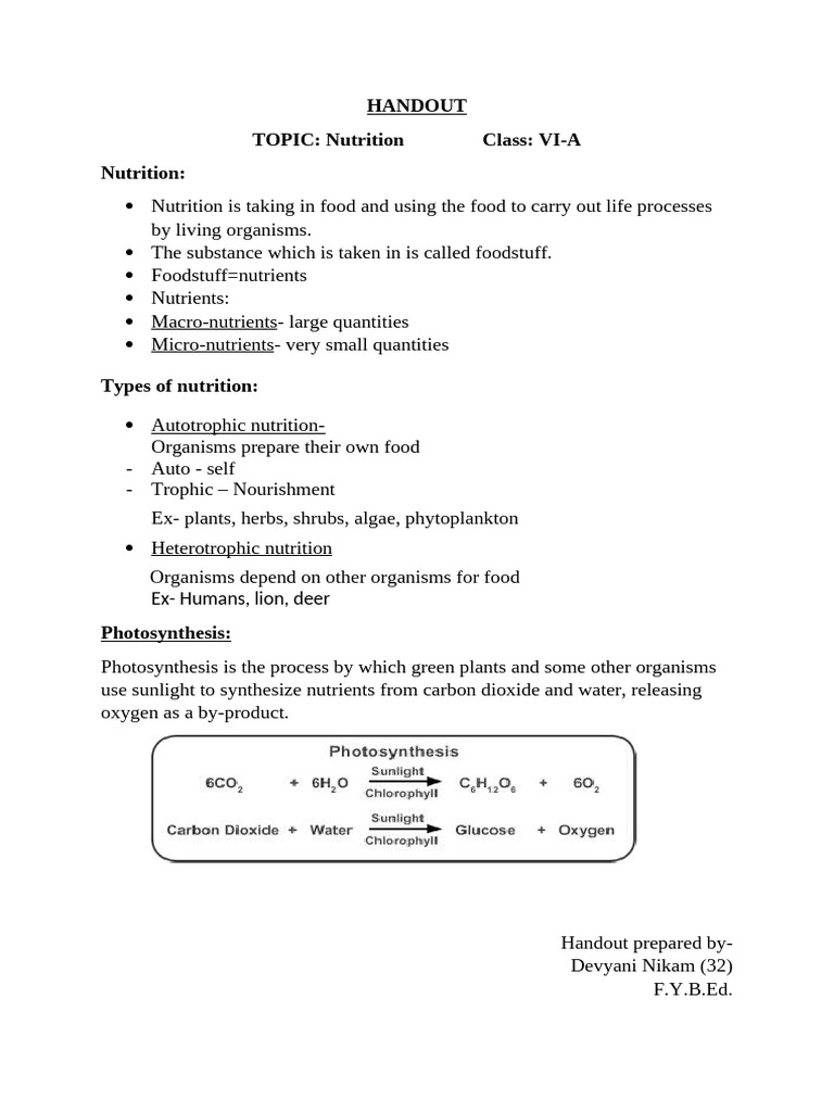 Lesson 8 Handout | PDF