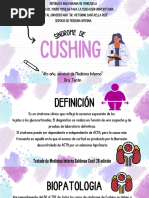 Reflejo o Triada D Cushing | PDF | Hipertensión | Anatomía humana