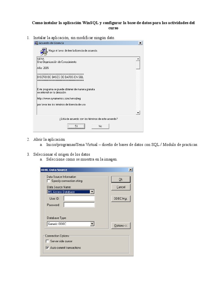 Guia de Manejo WinSQL | PDF