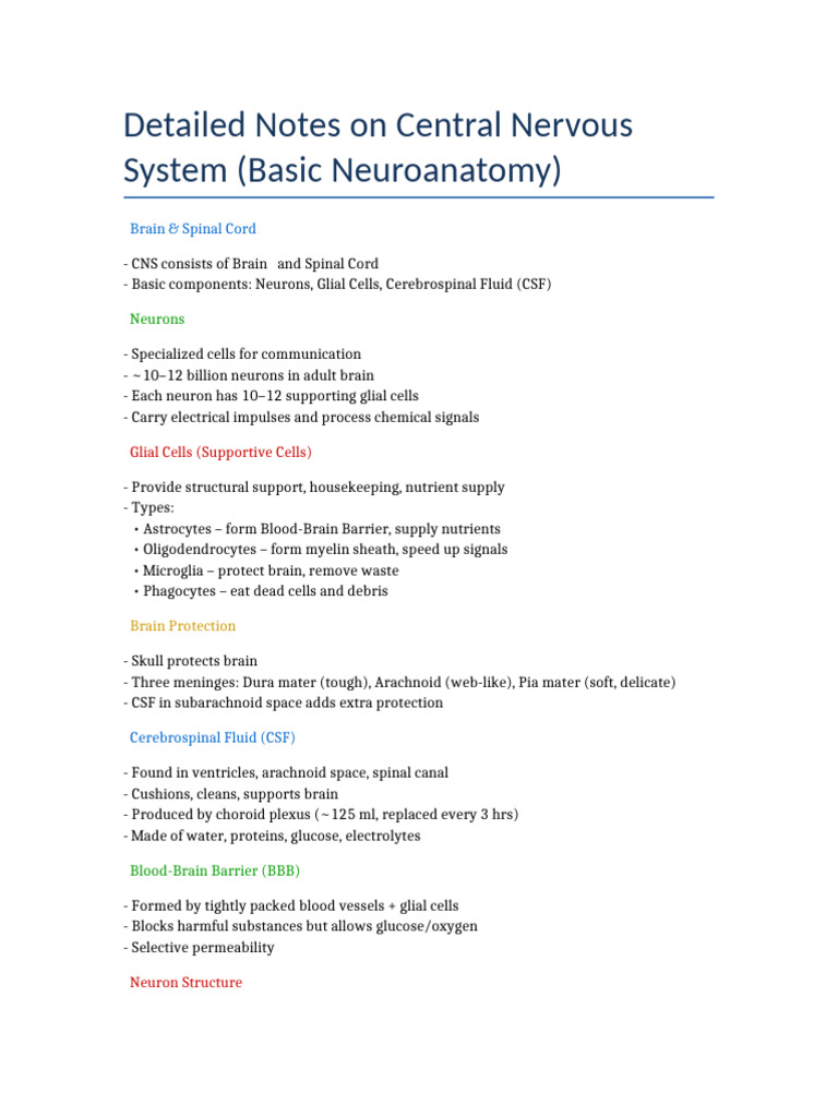 Central Nervous System Overview | PDF