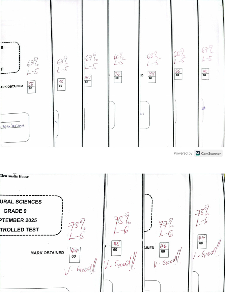 Term 3 Cycle Test Marks | PDF