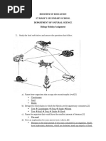 Section 04, Gizmos - Food Chain | PDF | Predation | Disturbance (Ecology)