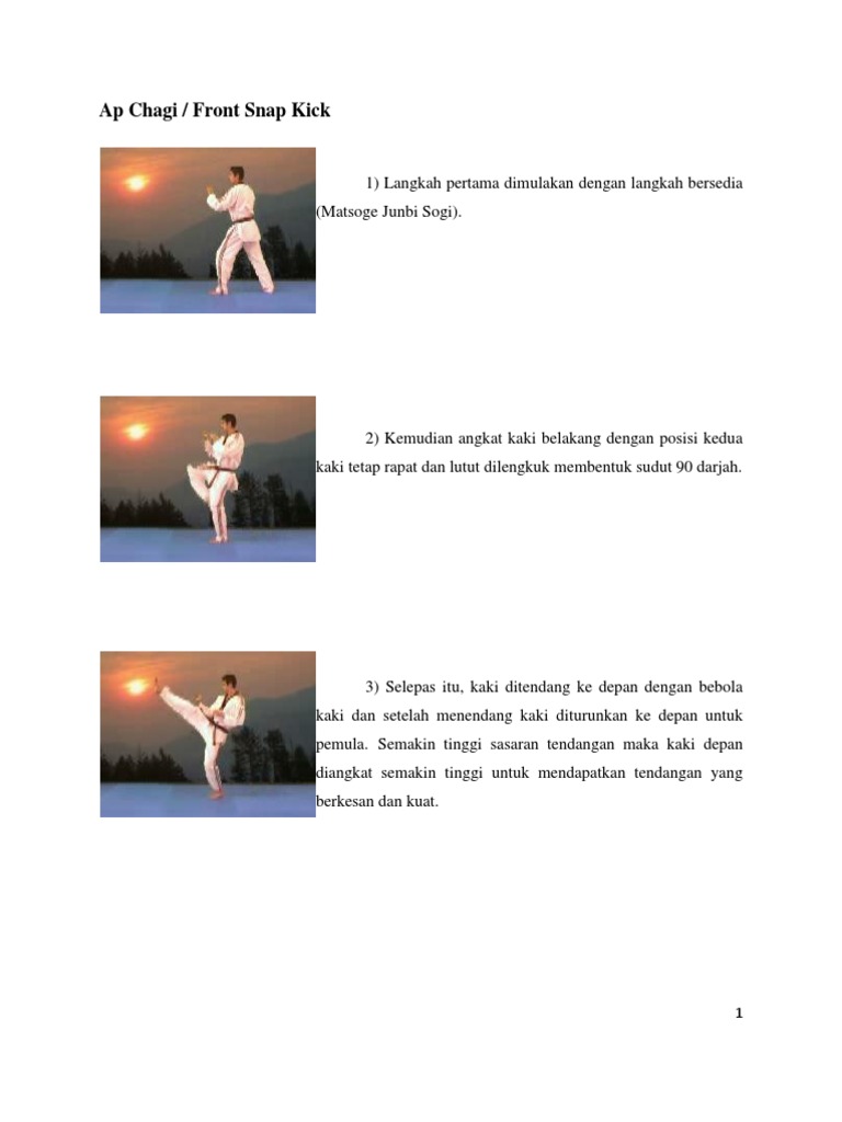 Jenis-Jenis Tendangan Dalam Taekwondo | PDF