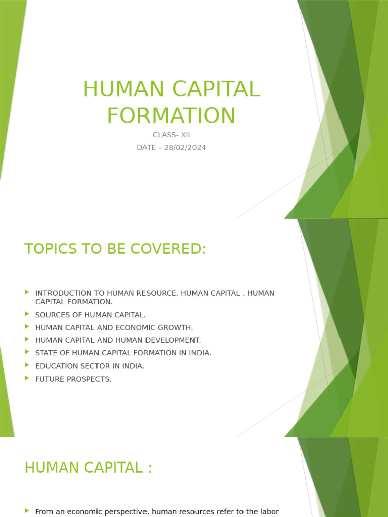 Human Capital Formation | PDF | Human Capital | Capital (Economics)